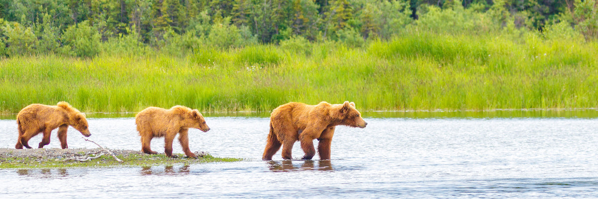 Almond & Sea Salt Bear Claws | Wild West Chocolate