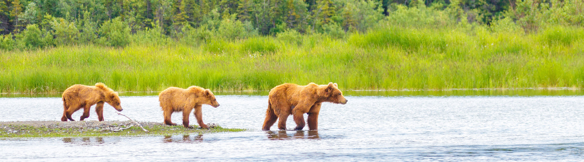 Almond & Sea Salt Bear Claws | Wild West Chocolate