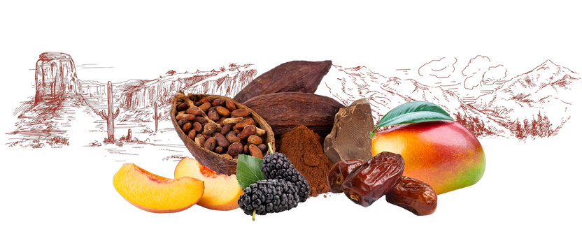 Wild West Chocolate | BORN TO BE WILD. MADE TO MAKE A DIFFERENCE.